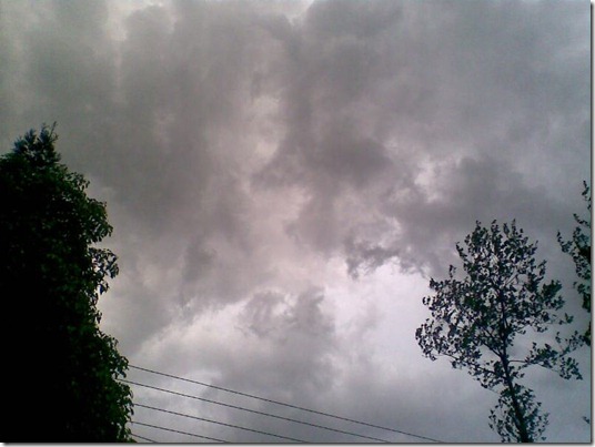 Last Snaps of Year 2066 [Pictures]